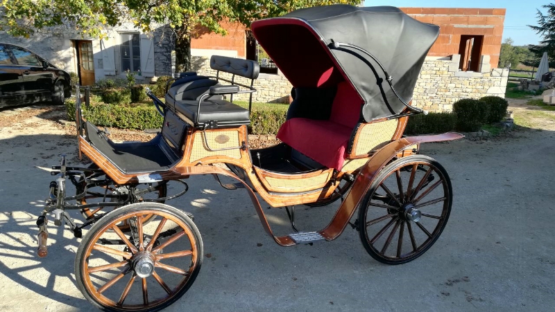 Calèches de mariage en France : Élégance et romantisme pour votre jour ...